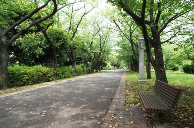 Filming Location: Yamada Taro Monogatari – Park Alley – Intergalactic Yeah!